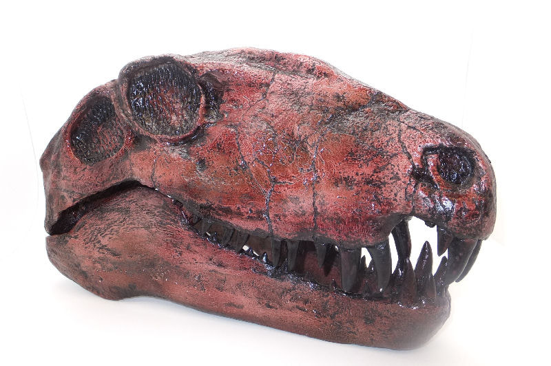 Dimetrodon Dinosaur Skull Replica - SkeletonsAndSkulls