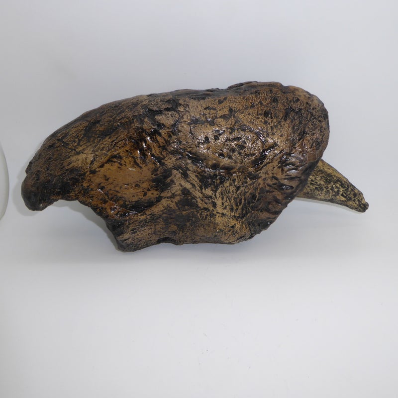 Eremotherium Claw Record Replica For Sale