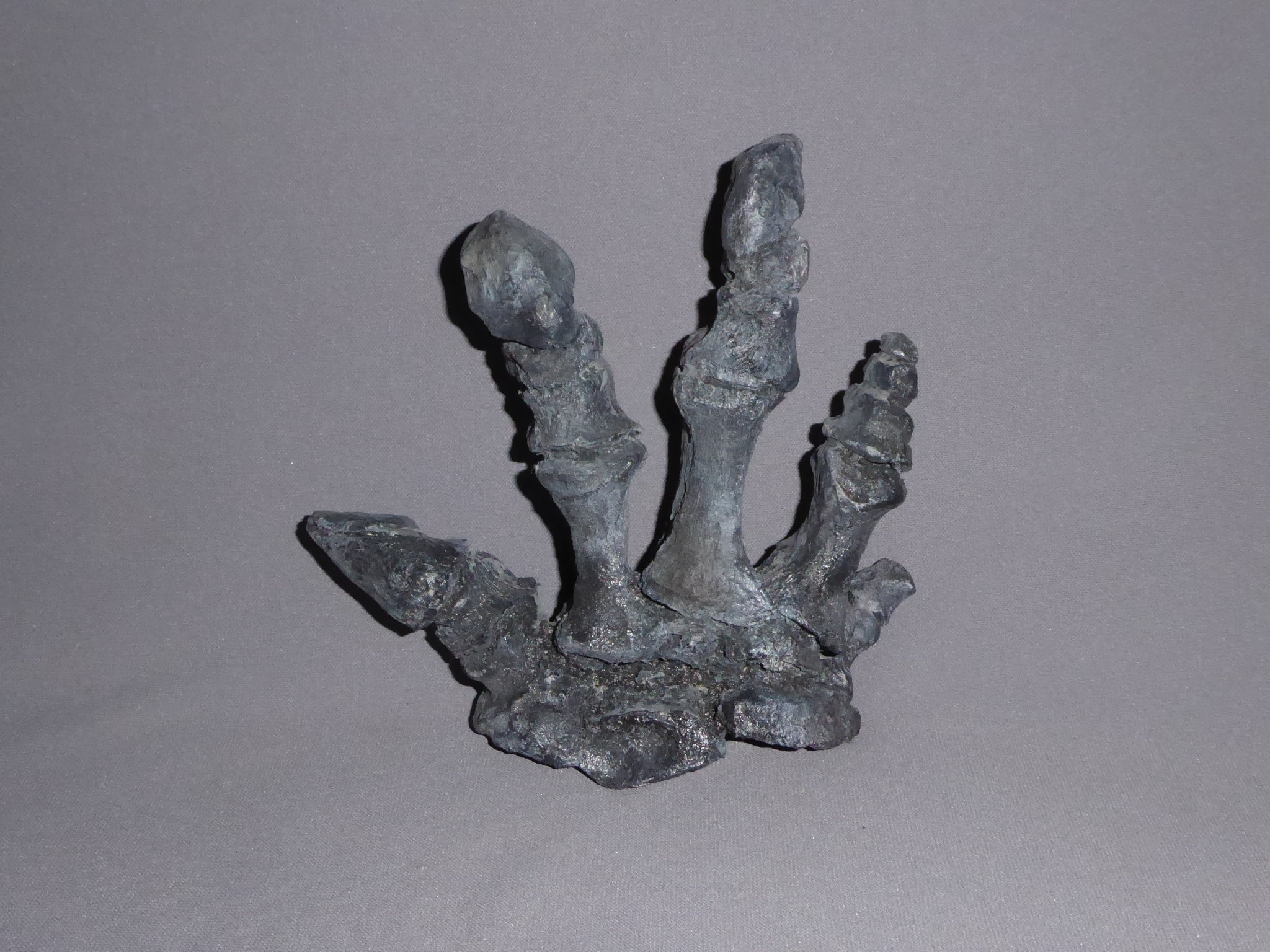 Camptosaurus Dinosaur Hand Replica - Paelontology study tool