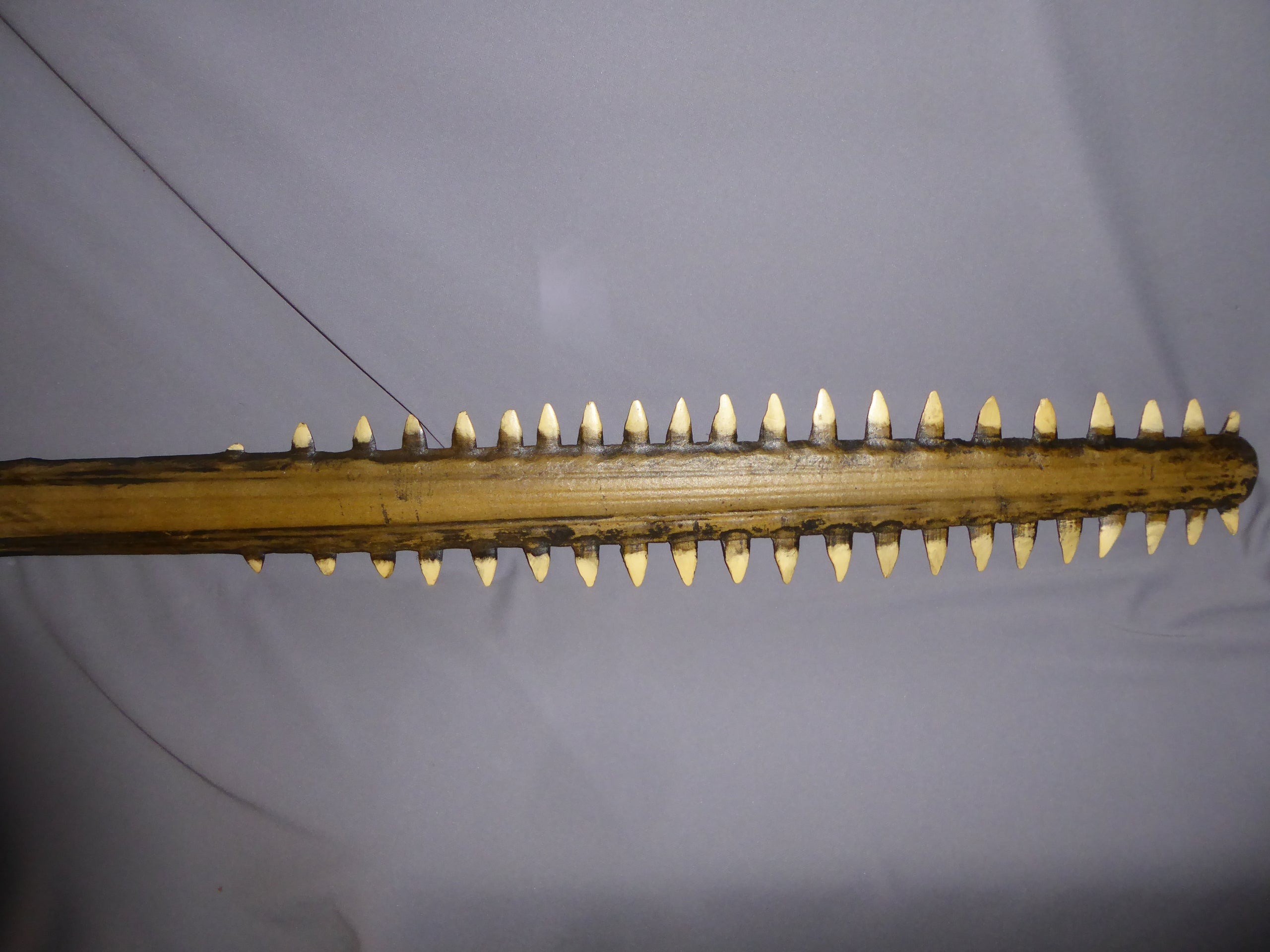 Shark Saw Uk